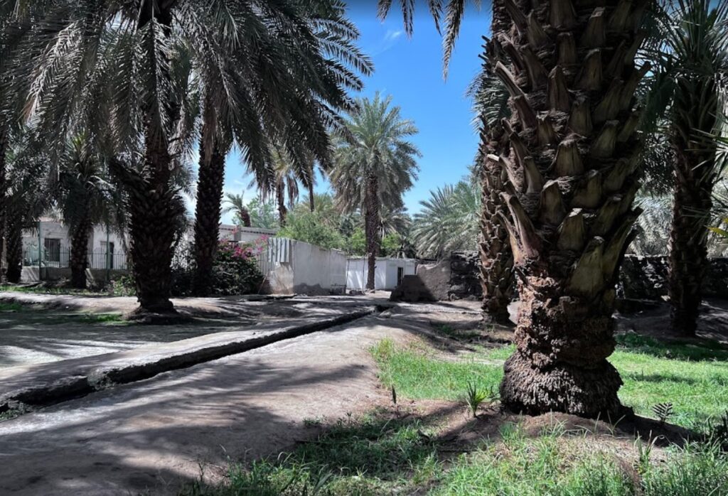 Garden Alfarsi : The Garden Of Salman Al Farsi | Mecca 4 you